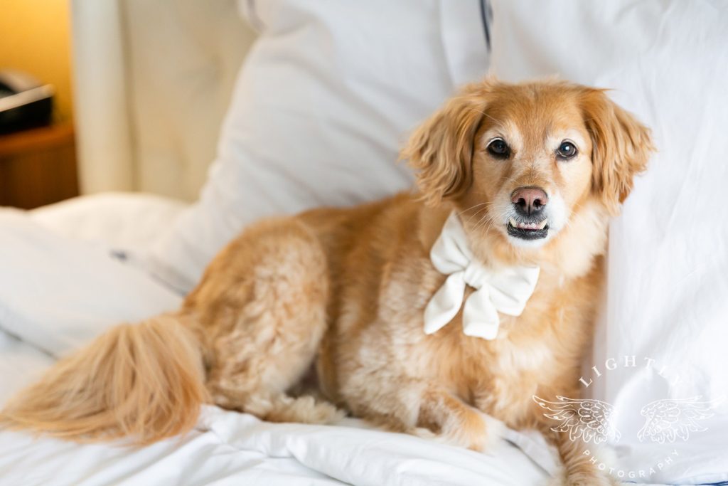 Kimberly + Marcus | Getting Ready at The Adolphus and Wedding Ceremony ...